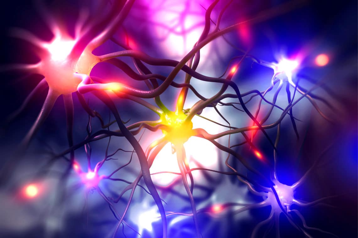 Anandamide – The “Bliss” Molecule of the Endocannabinoid System ...
