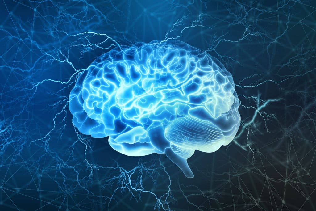 Using THC to Regenerate Brain Cells and Restore Cognitive Youth ...