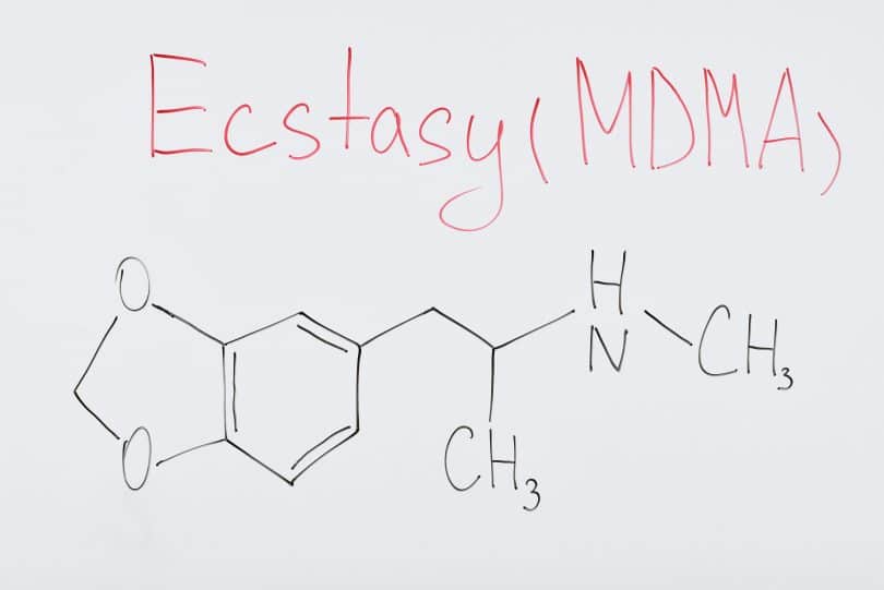 Ann Shulgin And Her Contributions to the World of Psychedelics ...