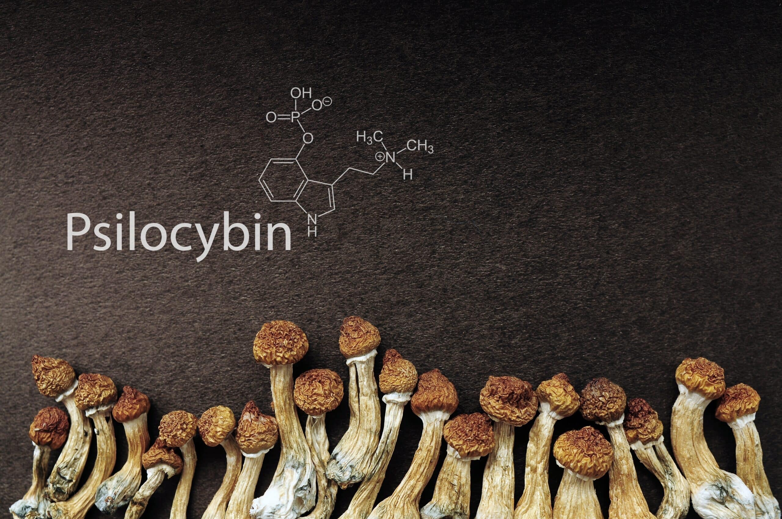 Psilocybin Influences Brain Function With Long-Lasting Effects